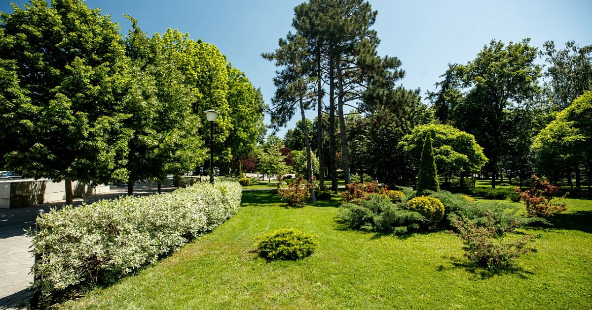 На 10 городских зелёных территориях заработала система автополива :: Krd.ru